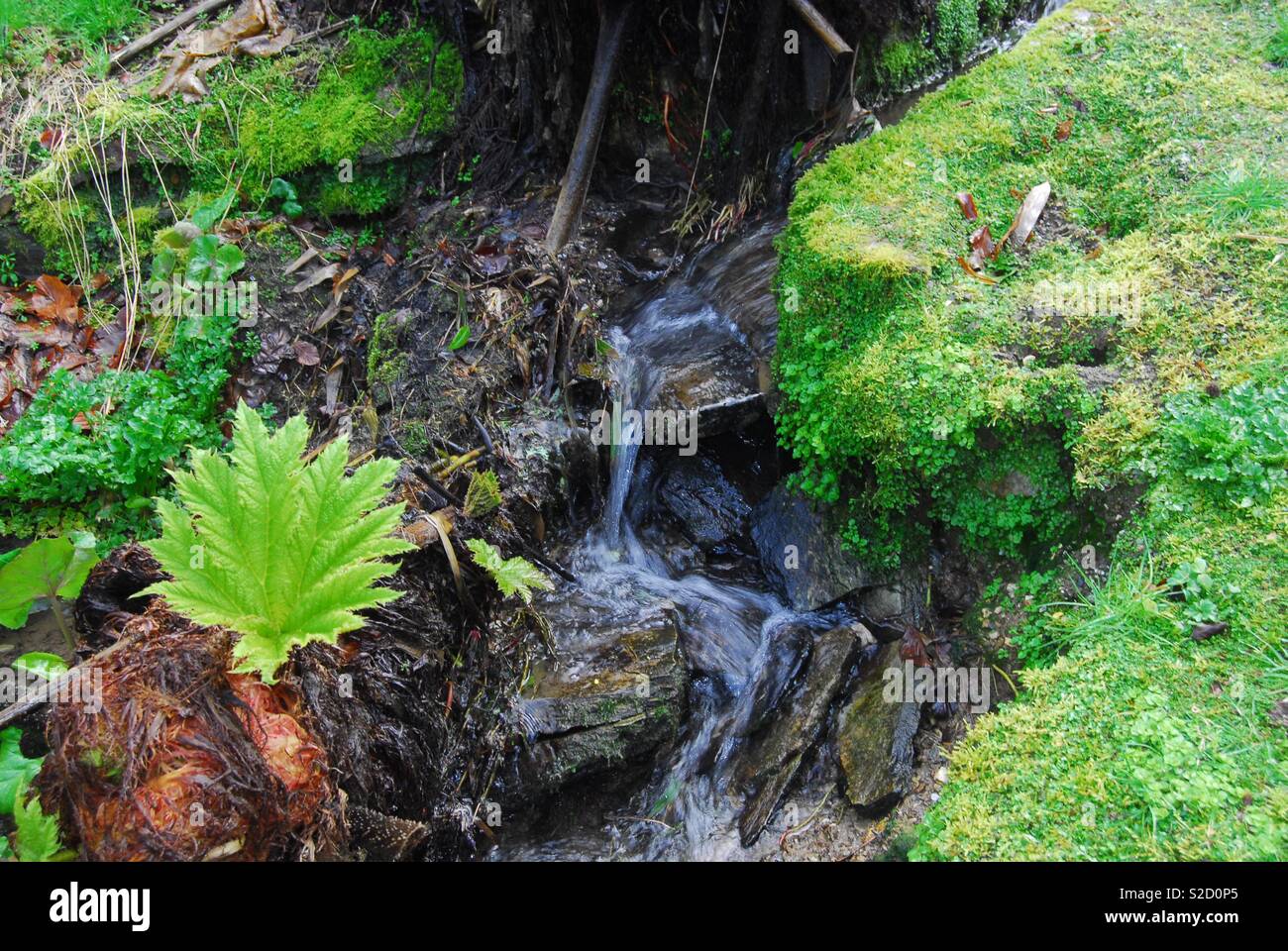 Slow flow hi-res stock photography and images - Alamy