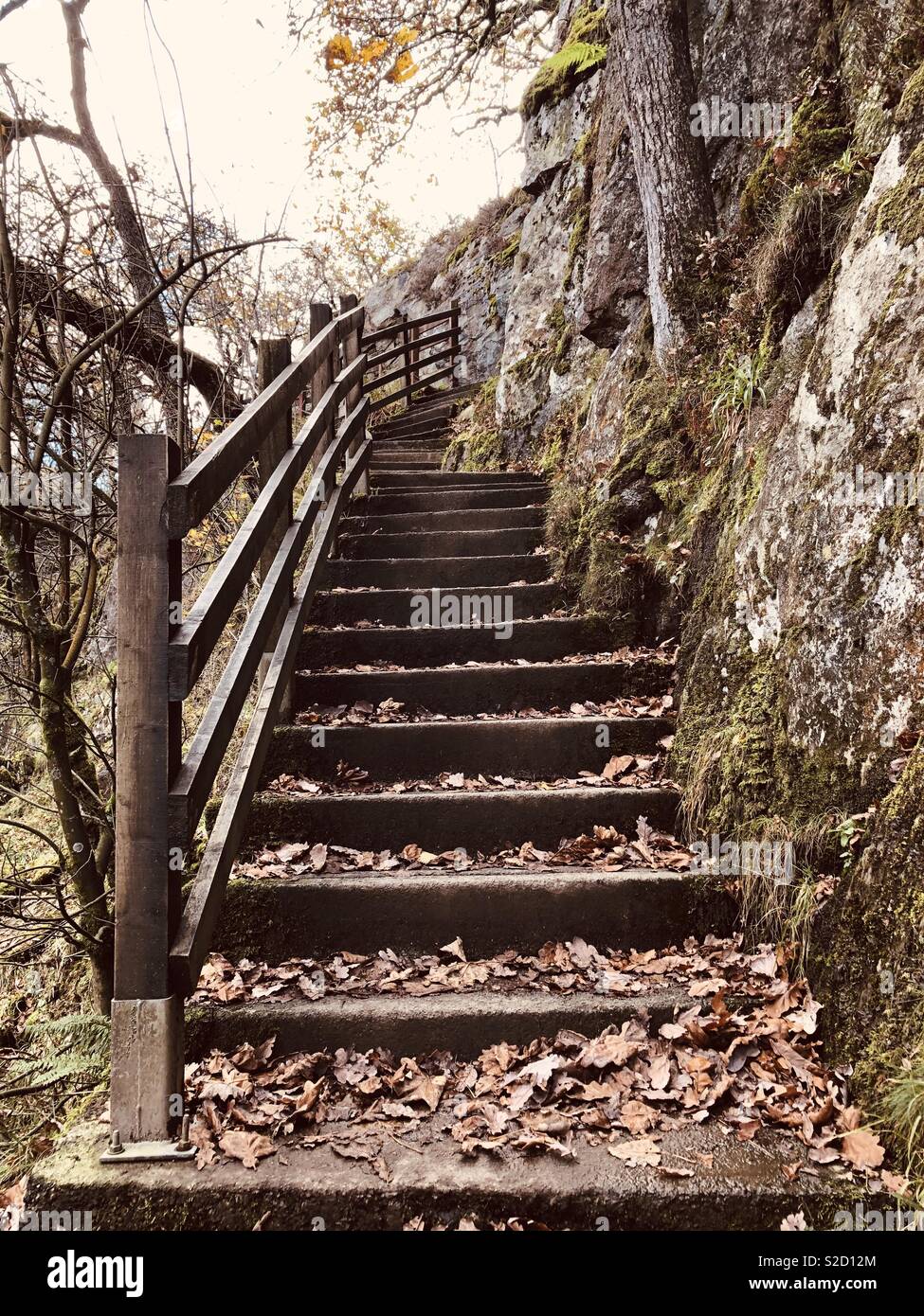 Steps in Autumn Stock Photo - Alamy