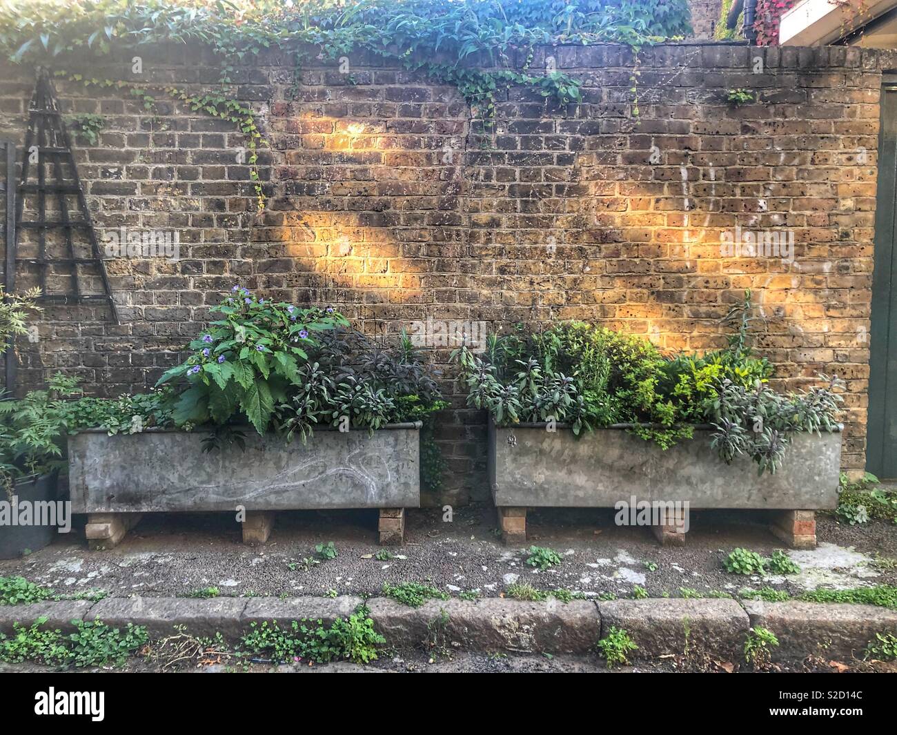 Trough garden hi-res stock photography and images - Alamy