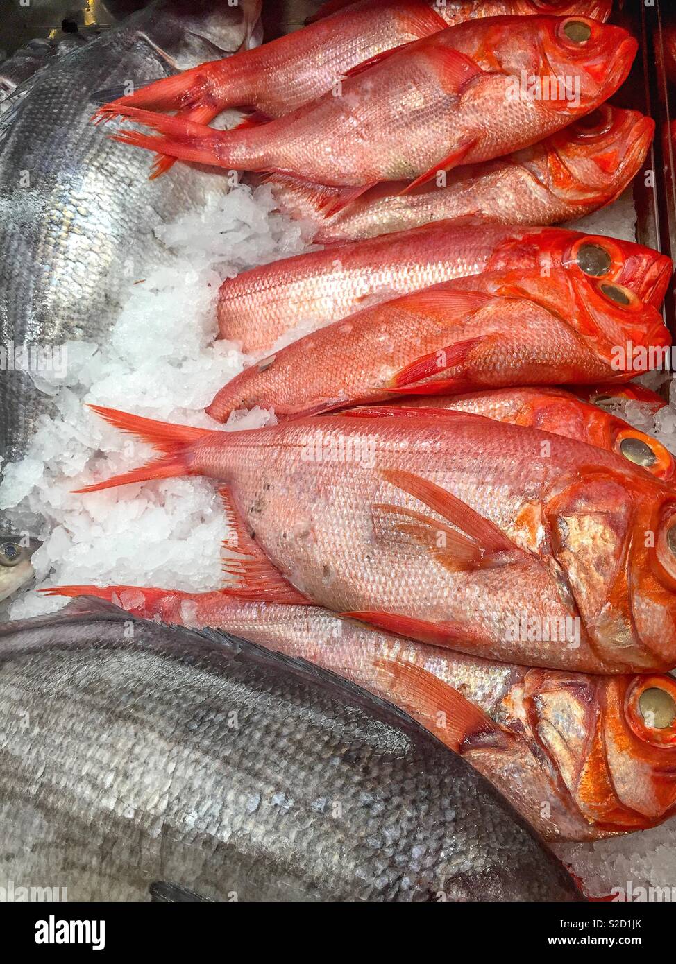 Fresh frozen fish hi-res stock photography and images - Alamy