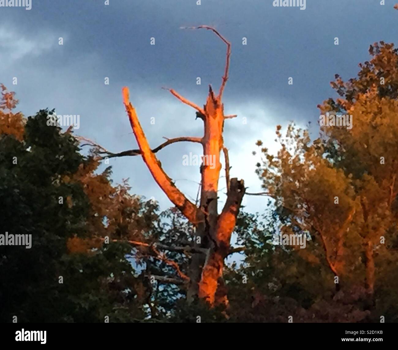 Hallowed hi-res stock photography and images - Alamy