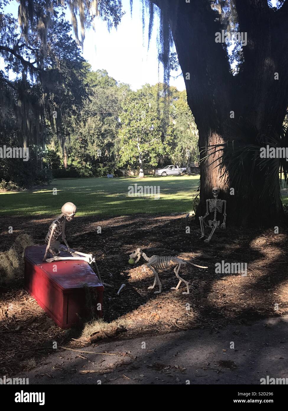 Skeleton relaxing hi-res stock photography and images - Alamy