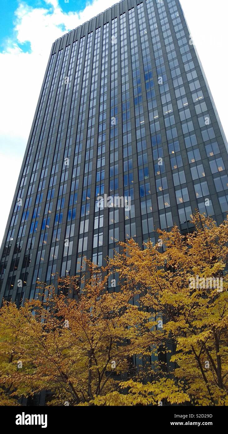 Skyscraper with autumn trees Stock Photo - Alamy