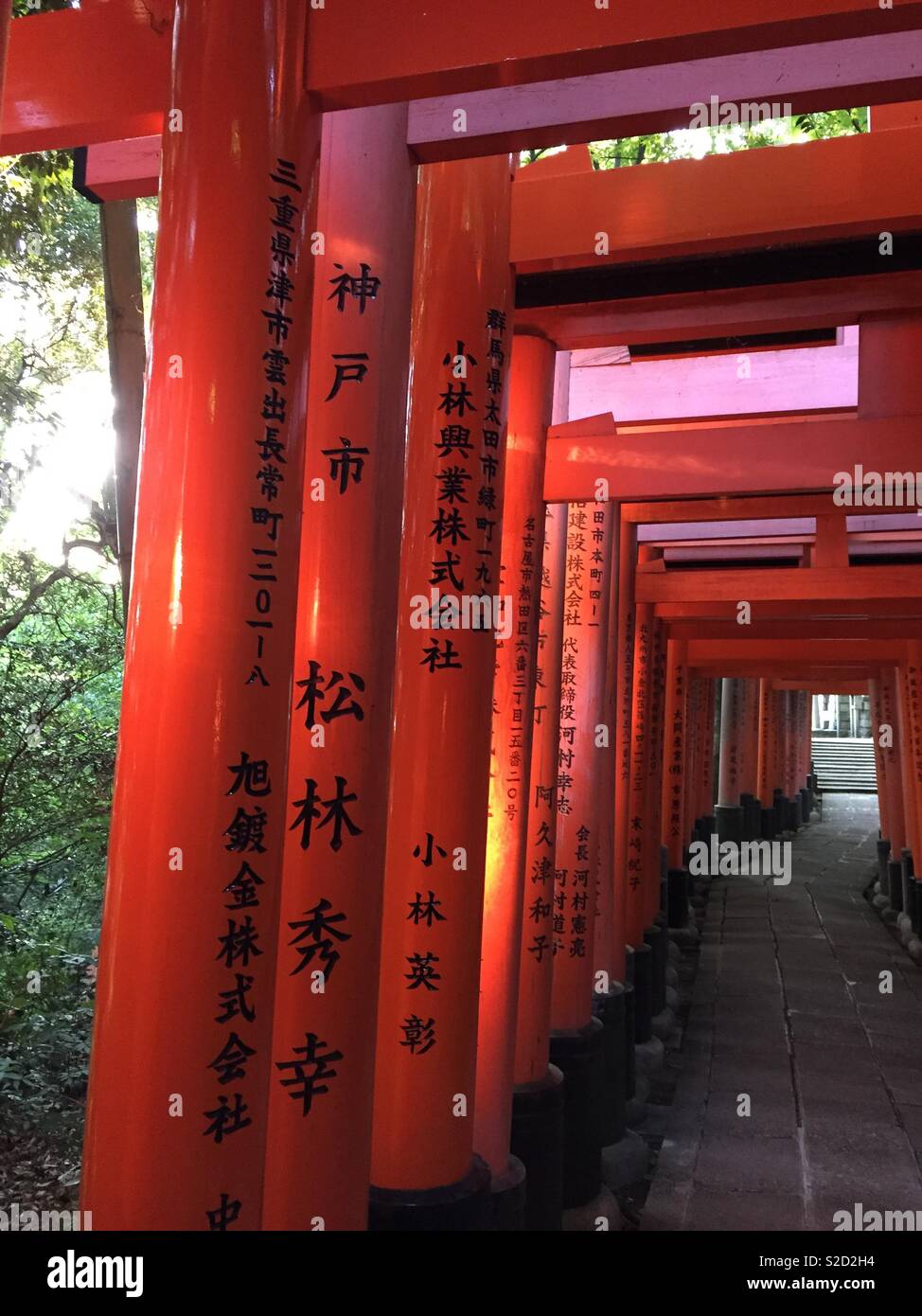 Path to enlightenment hi-res stock photography and images - Alamy