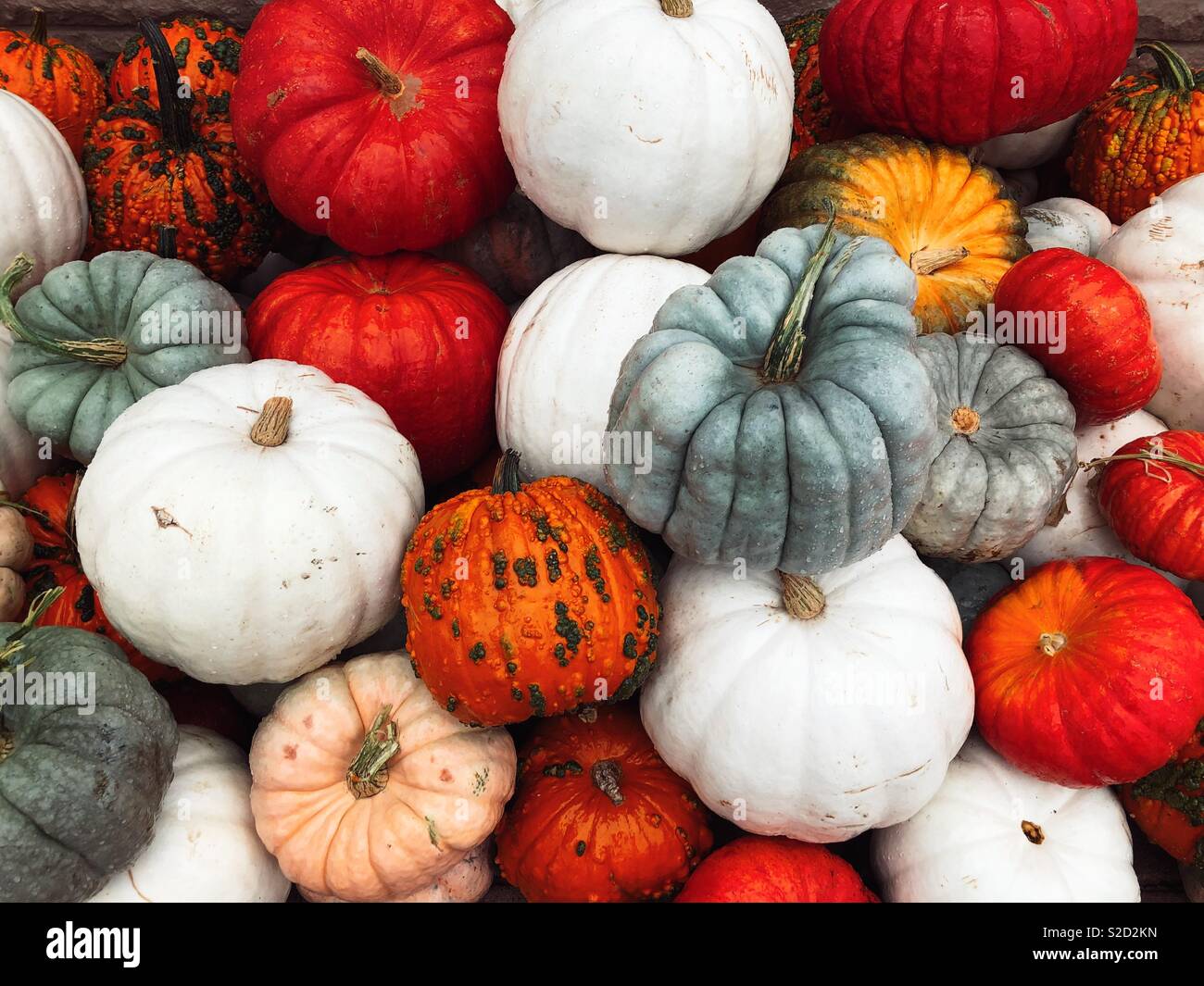 The colors of fall Stock Photo - Alamy