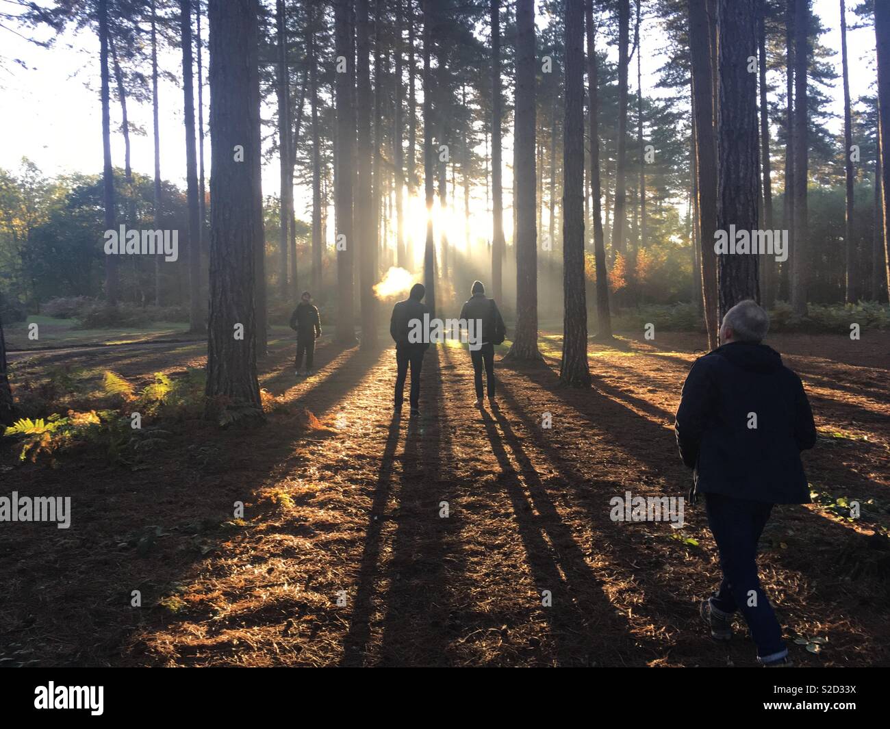 Lowlight hi-res stock photography and images - Alamy