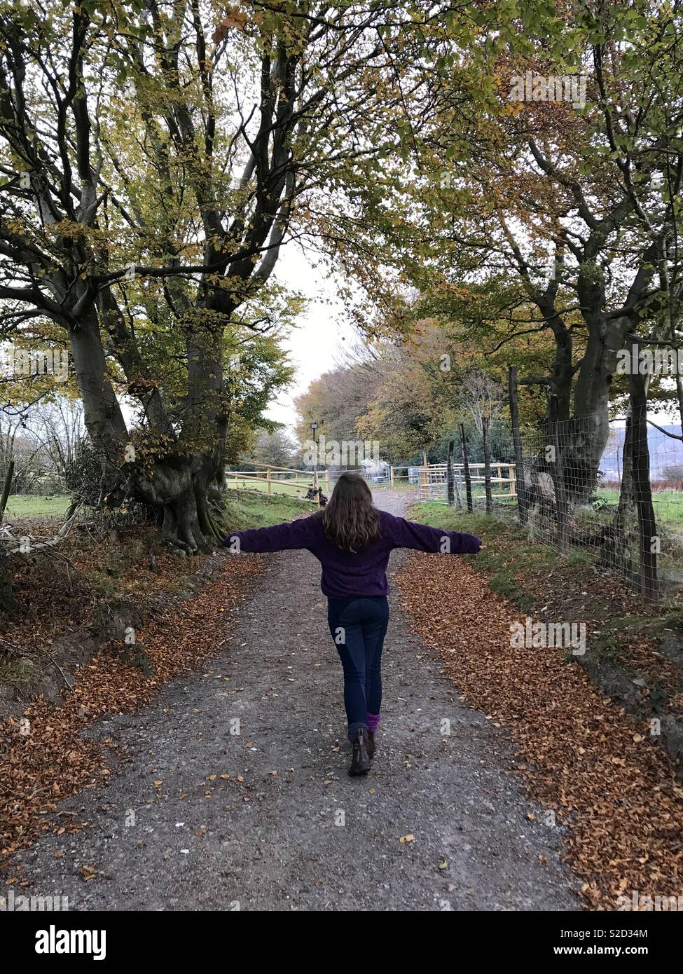 Walk with leaves hi-res stock photography and images - Alamy