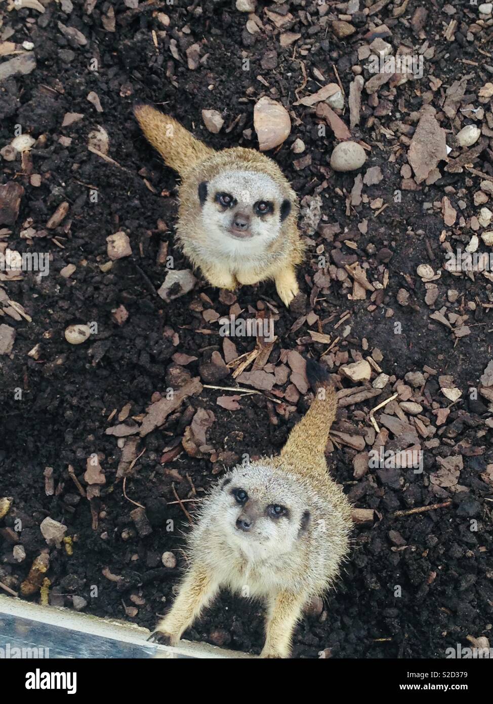 Drayton manor hi-res stock photography and images - Alamy