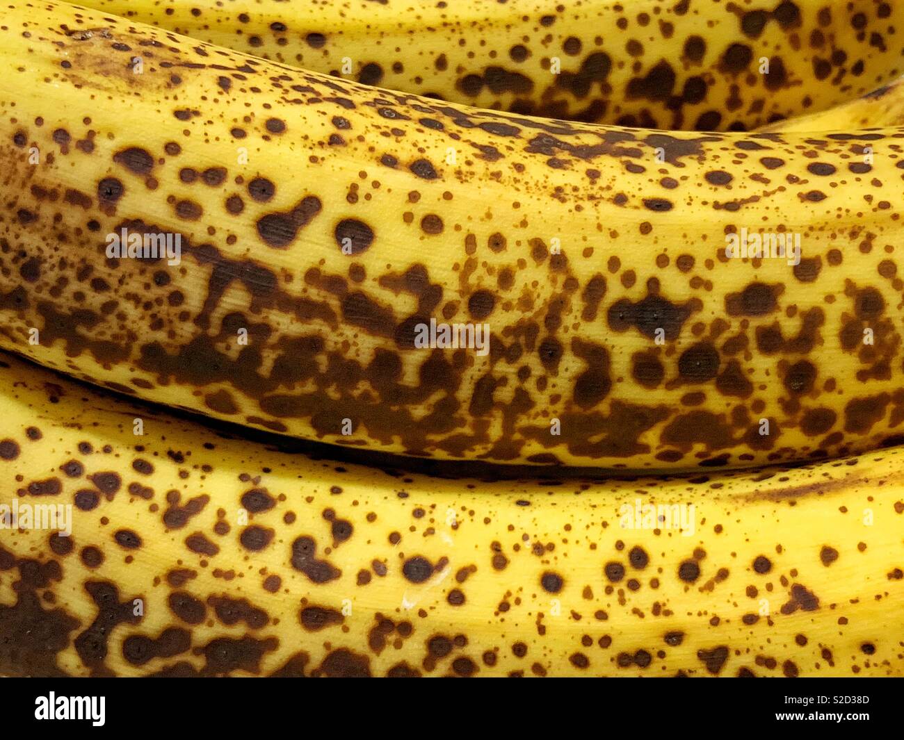 Banana Texture