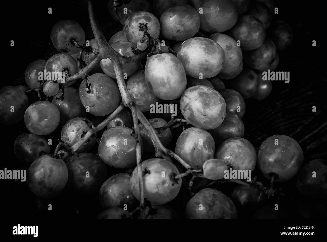 Fall dried fruit Black and White Stock Photos & Images - Alamy