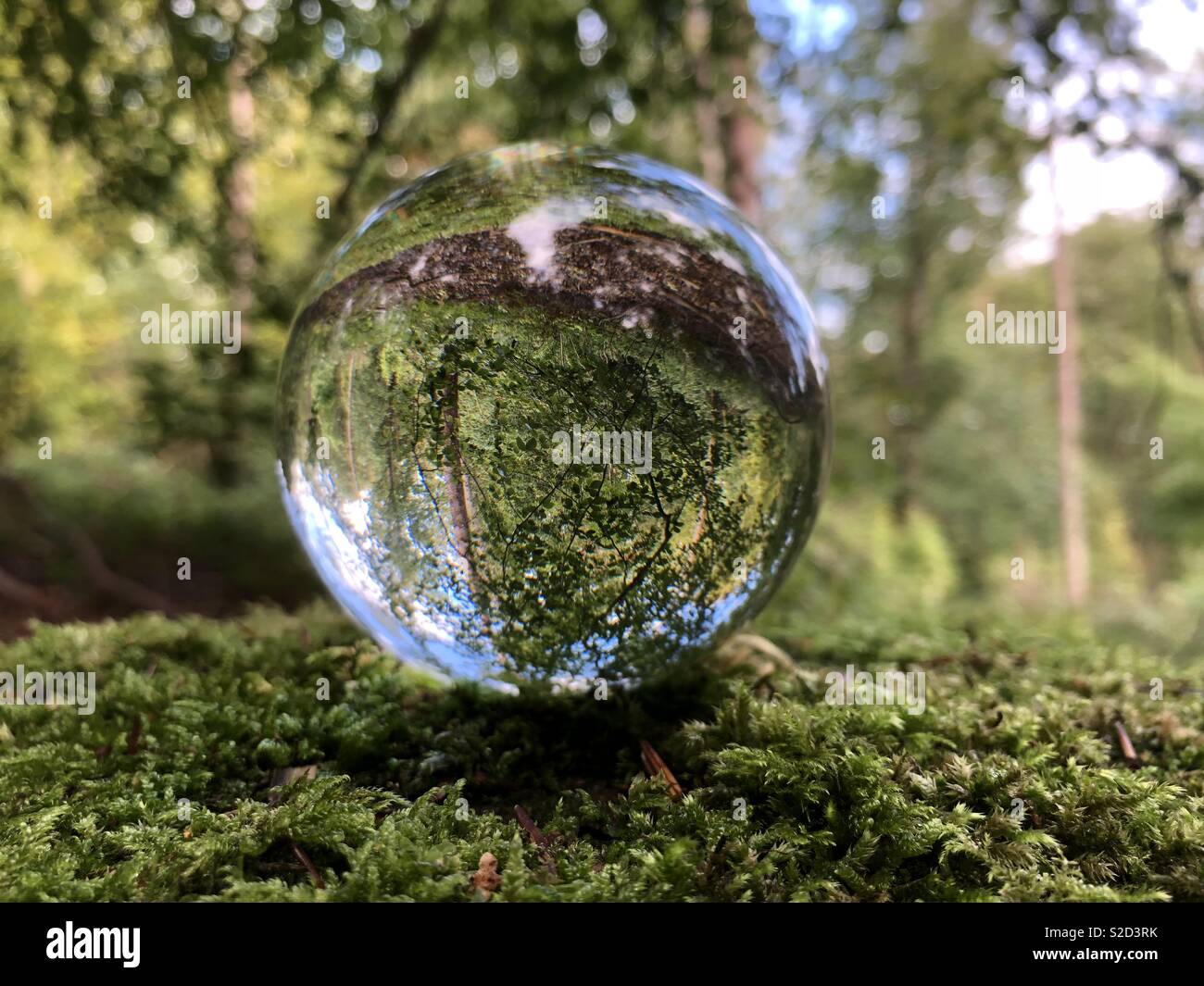 Lensball lens ball hi-res stock photography and images - Alamy
