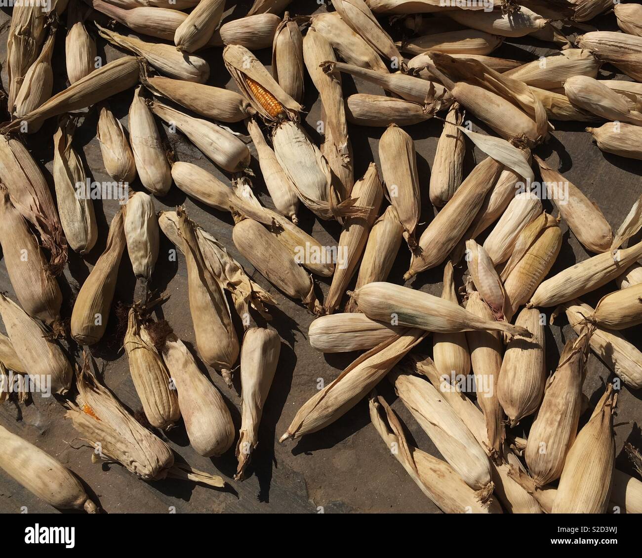 Drying vegetables in village hi-res stock photography and images - Alamy