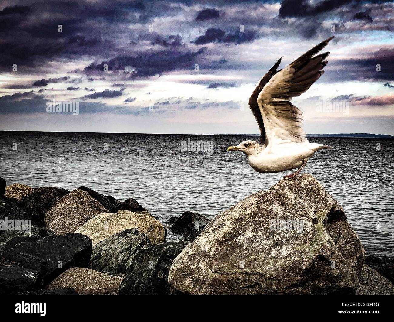 At the Beach Stock Photo - Alamy