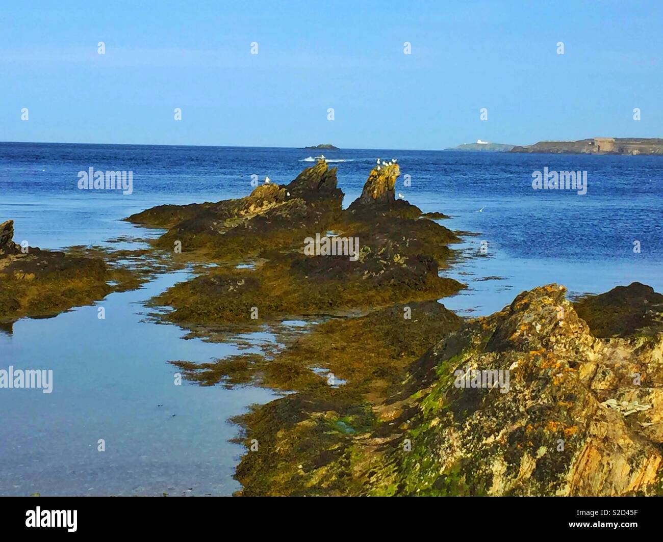 Bull bay hi-res stock photography and images - Alamy