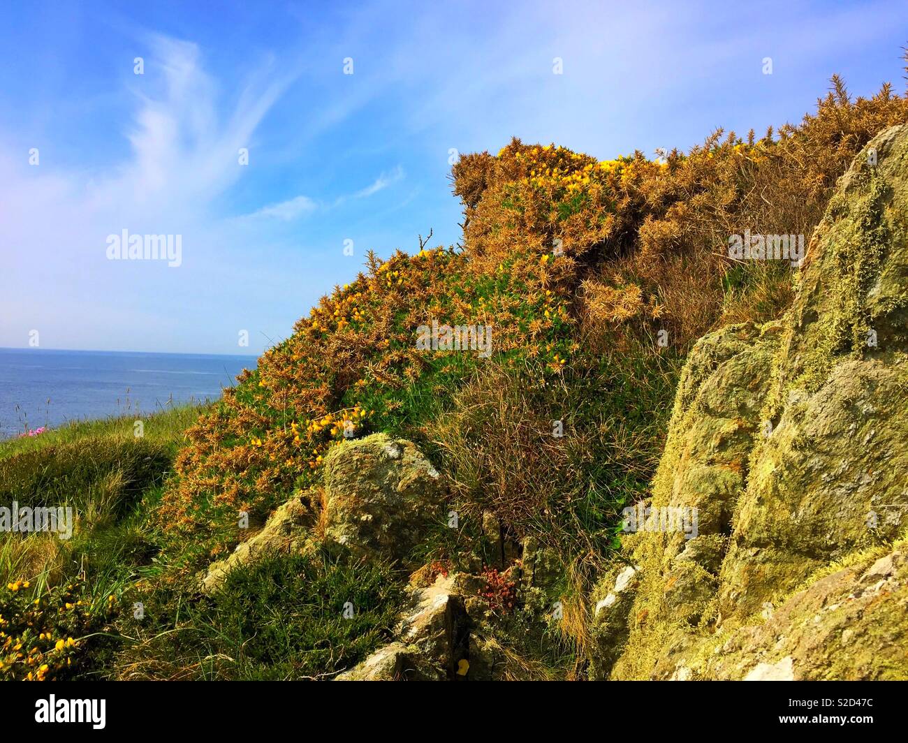 Porth Wen Anglesey 21st May 2018 Stock Photo - Alamy