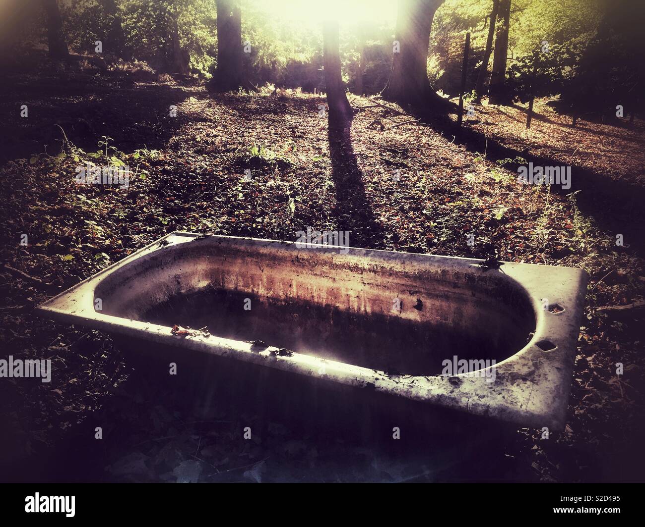 Bath in the woods Stock Photo - Alamy