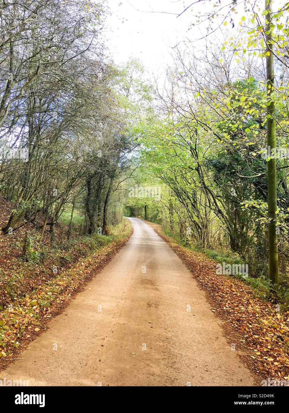 Consall nature reserve hi-res stock photography and images - Alamy