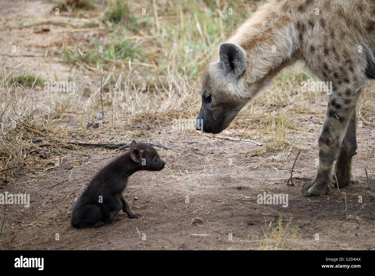 Behave yourself hi-res stock photography and images - Alamy