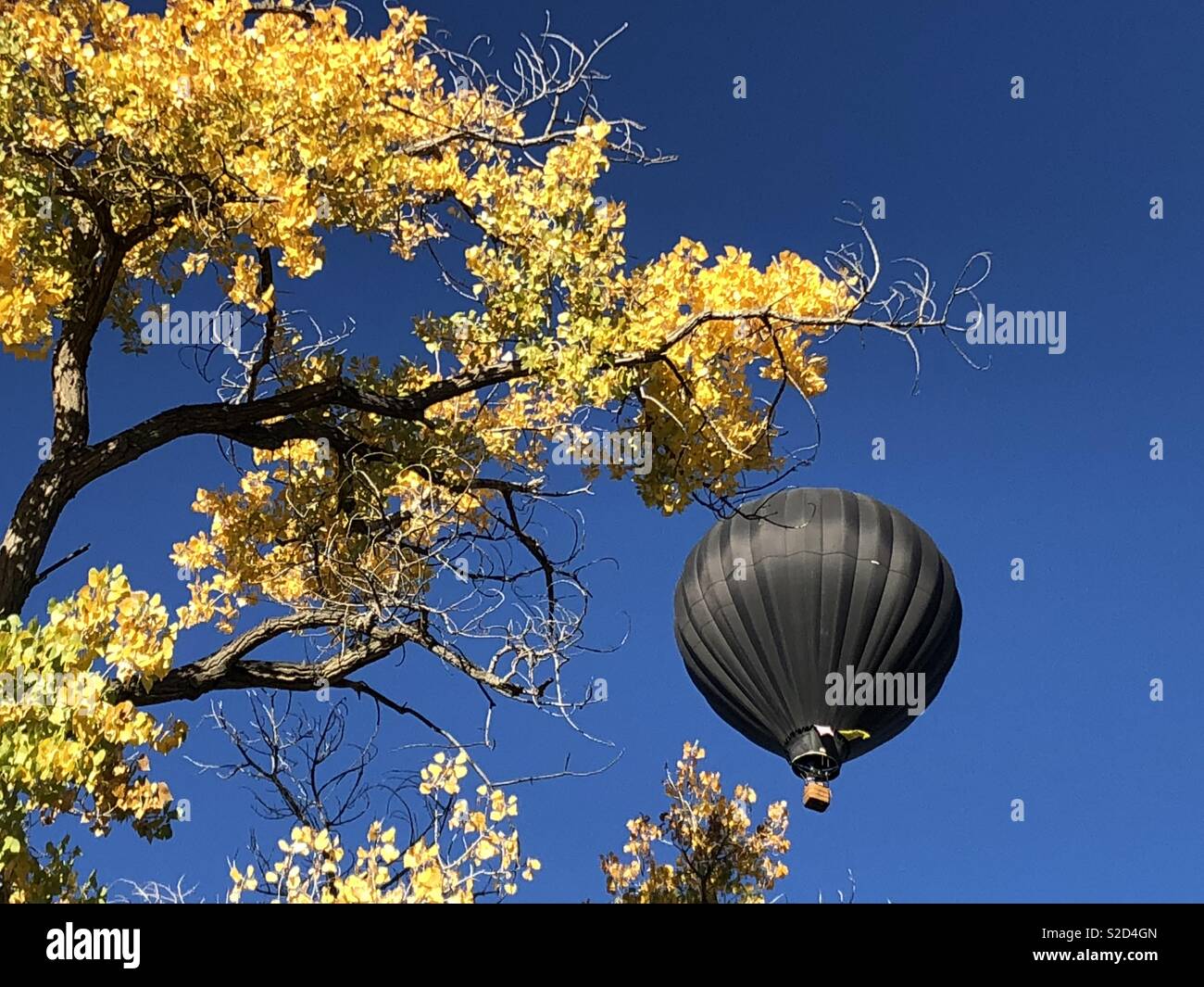 Albuquerque balloon hi-res stock photography and images - Alamy