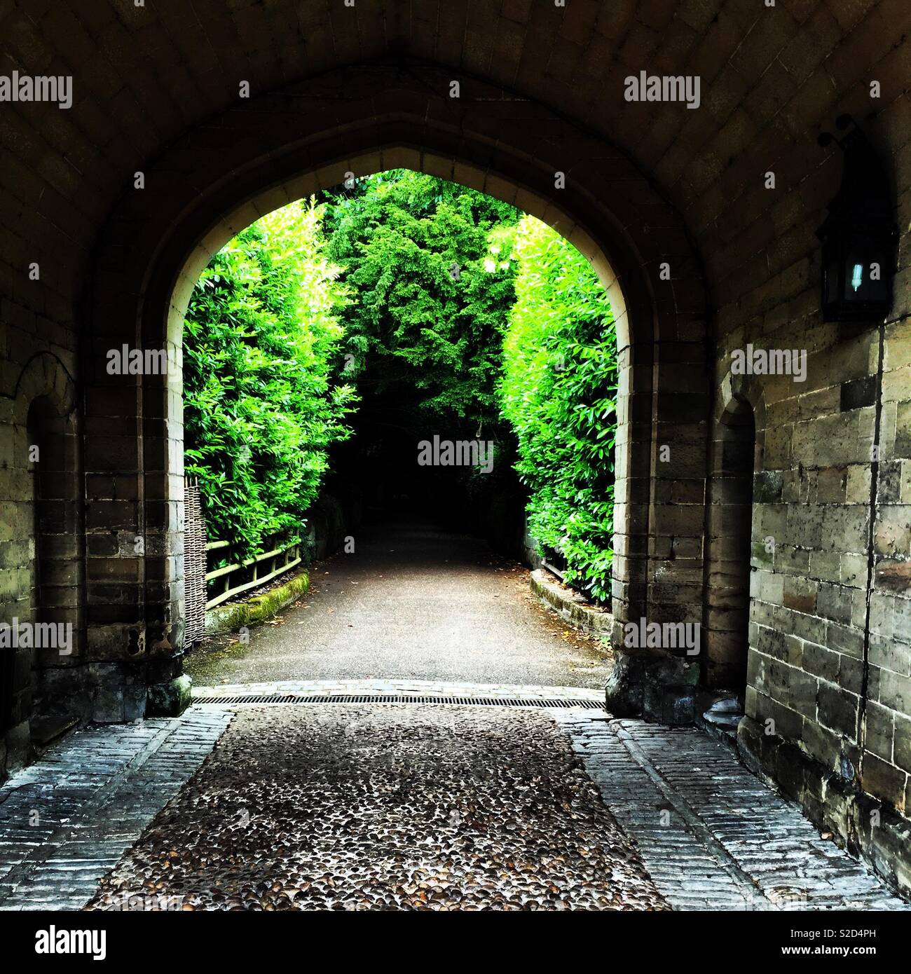 Pathway into darkness Stock Photo - Alamy