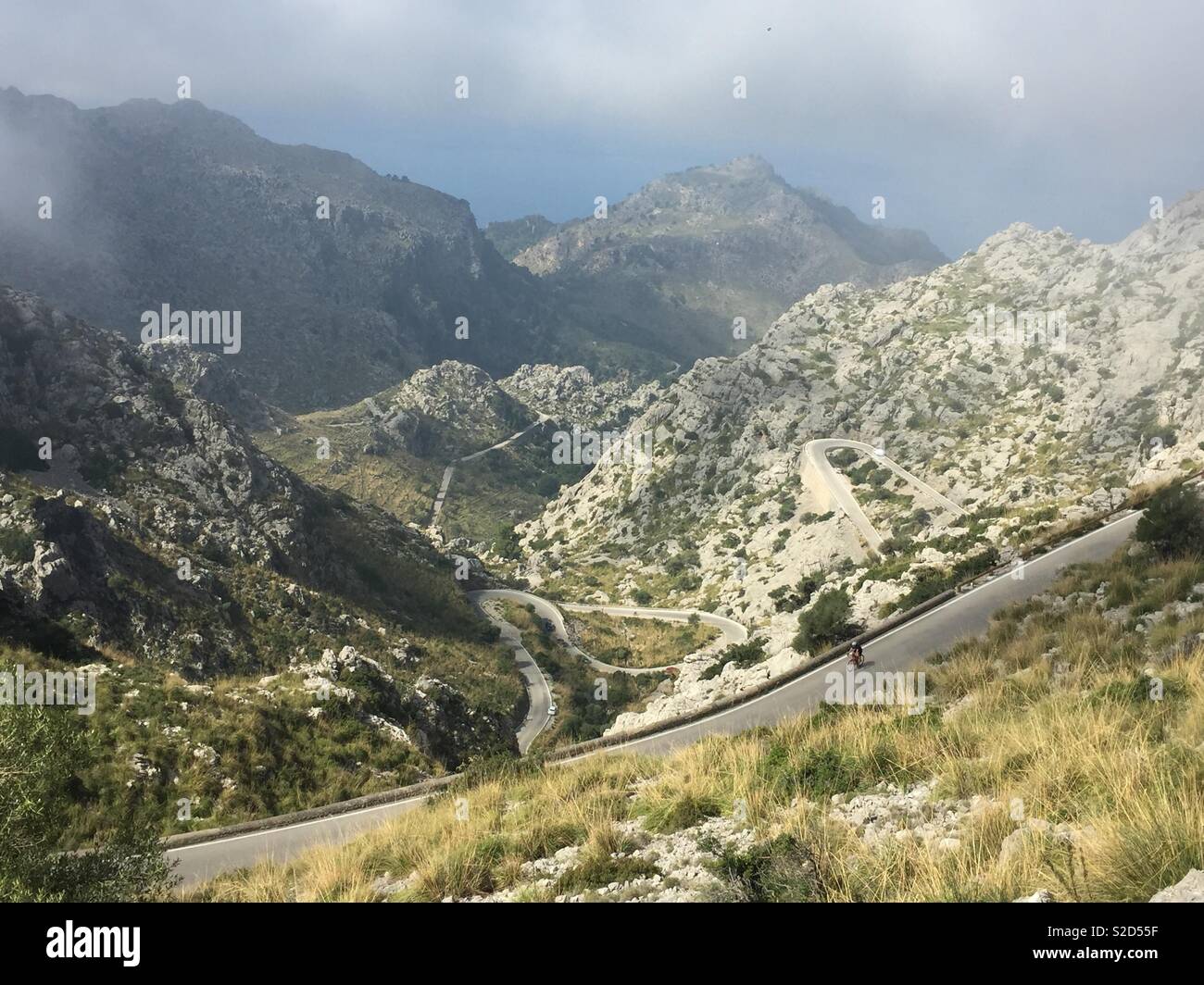 Colabra High Resolution Stock Photography and Images - Alamy