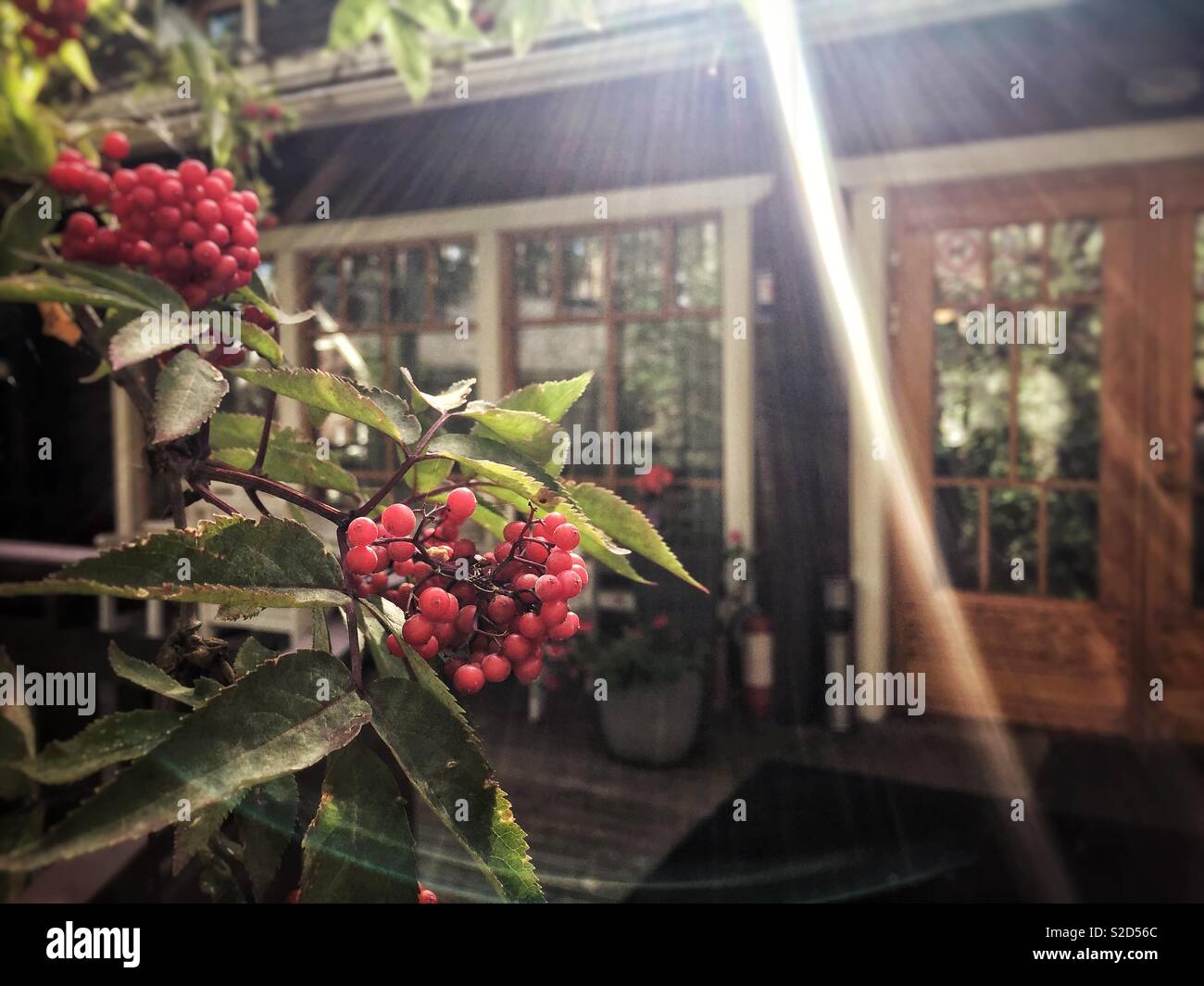 Season colors hi-res stock photography and images - Alamy