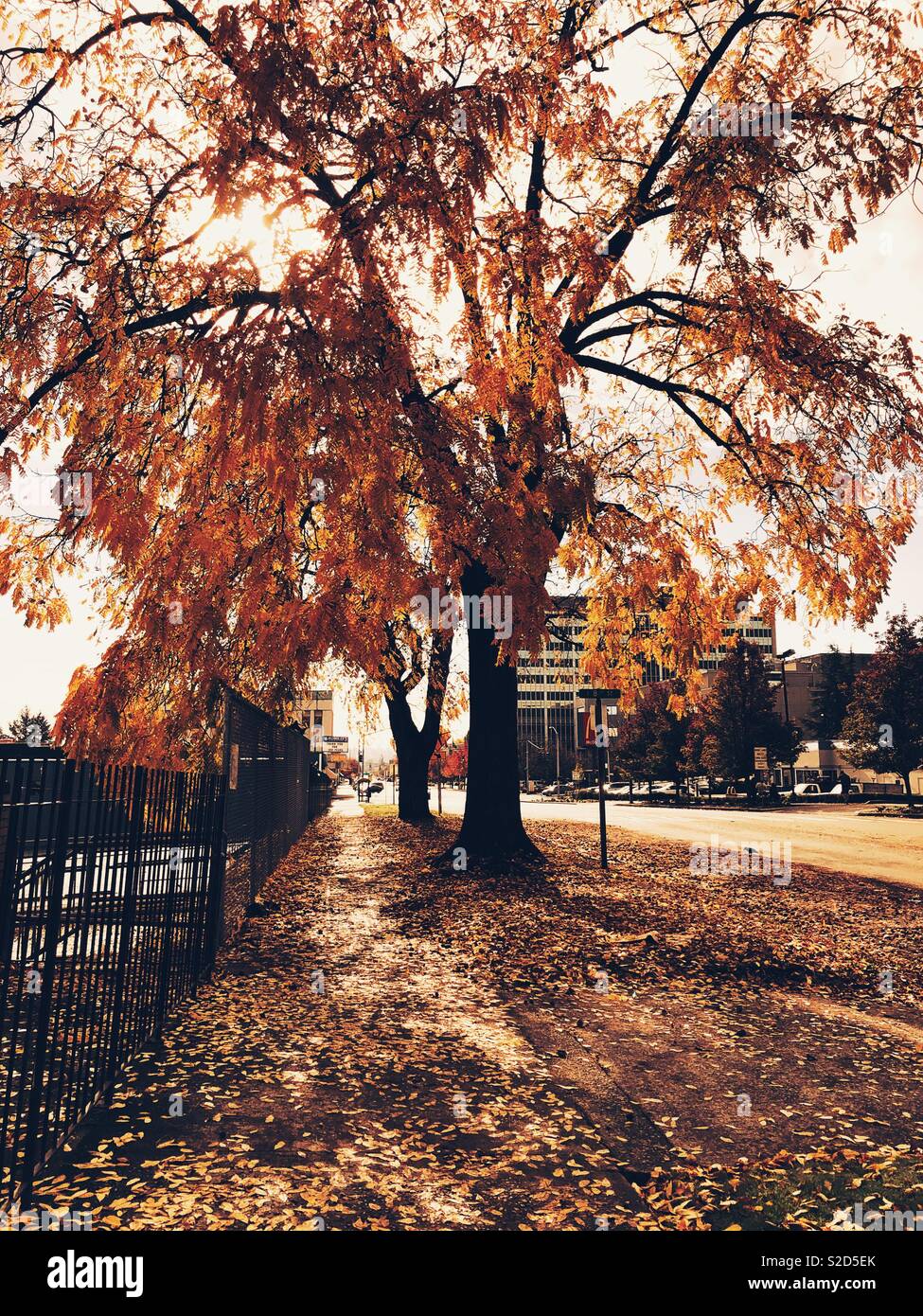 Walnut city hi-res stock photography and images - Alamy