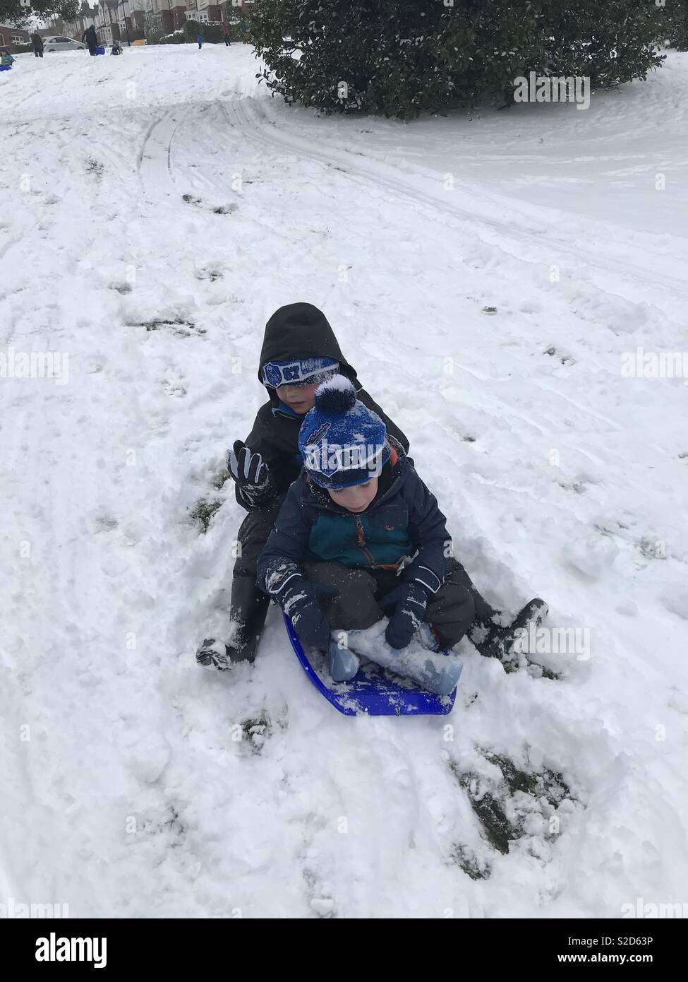 Sledging in the park hi-res stock photography and images - Alamy