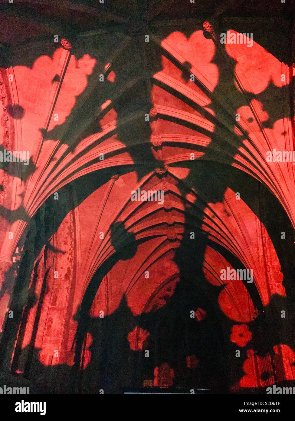 Projection poppy hi-res stock photography and images - Alamy