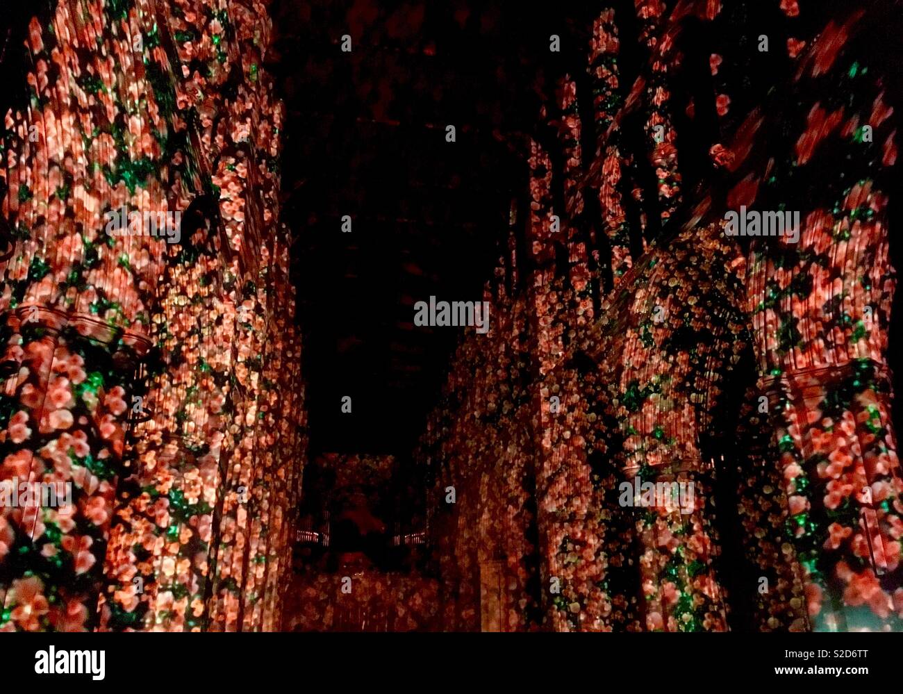 Poppy projection hi-res stock photography and images - Alamy