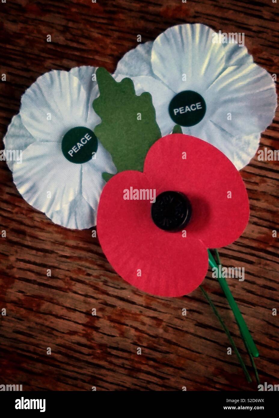 Remembrance Day white peace poppies and Red British Legion poppy Stock ...