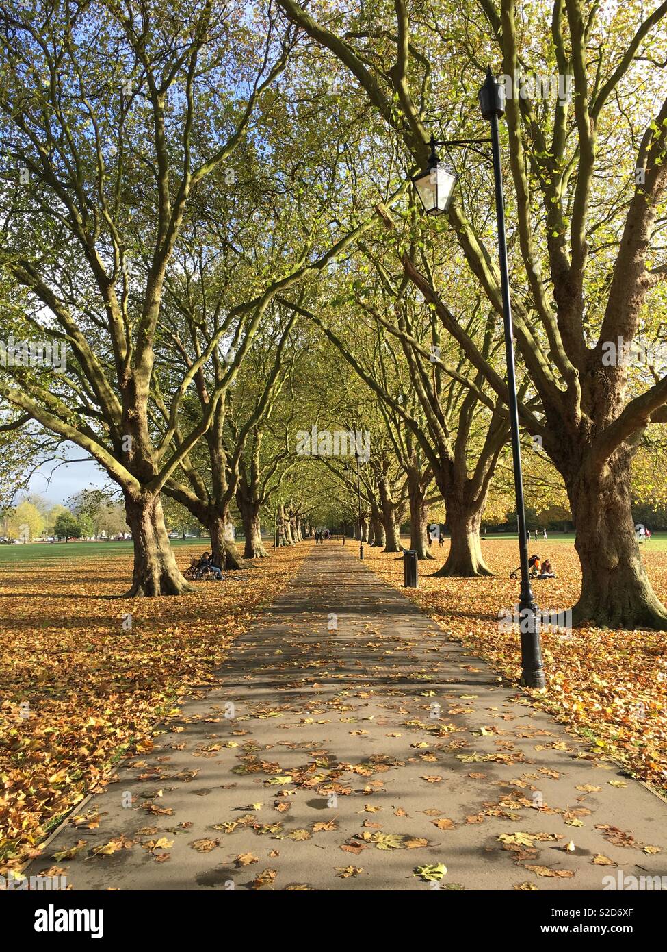 Jesus green park in cambridge hi-res stock photography and images - Alamy