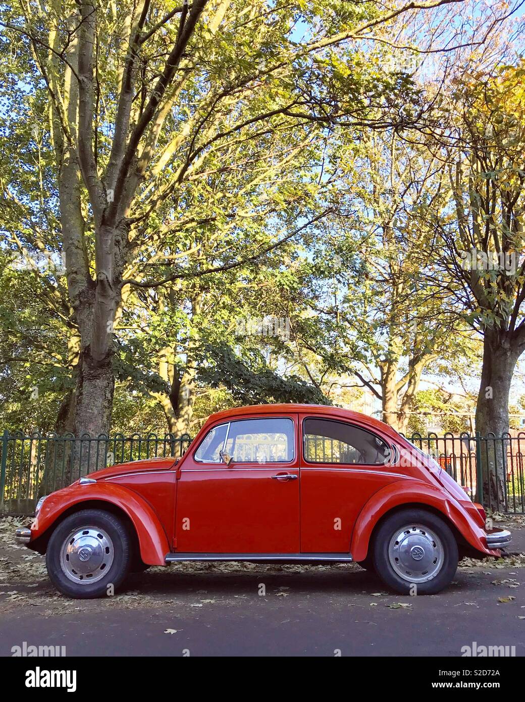Orange VW bug Stock Photo - Alamy