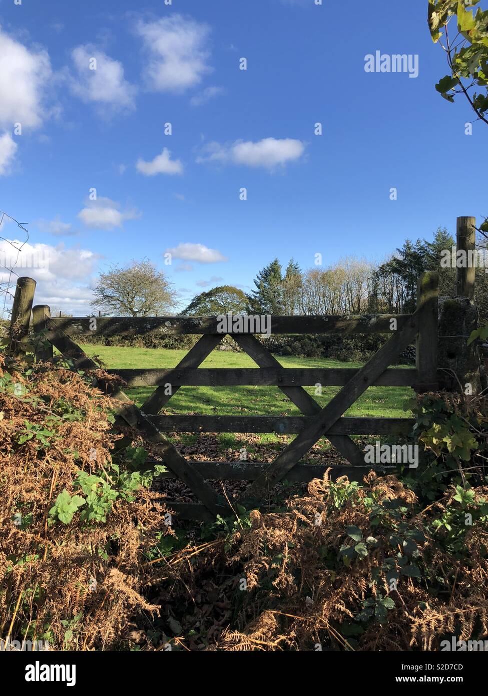 St breward hi-res stock photography and images - Alamy