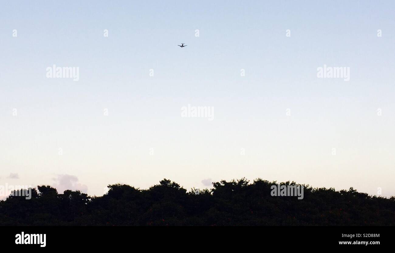 Aeroplane above trees in Trinidad Stock Photo - Alamy