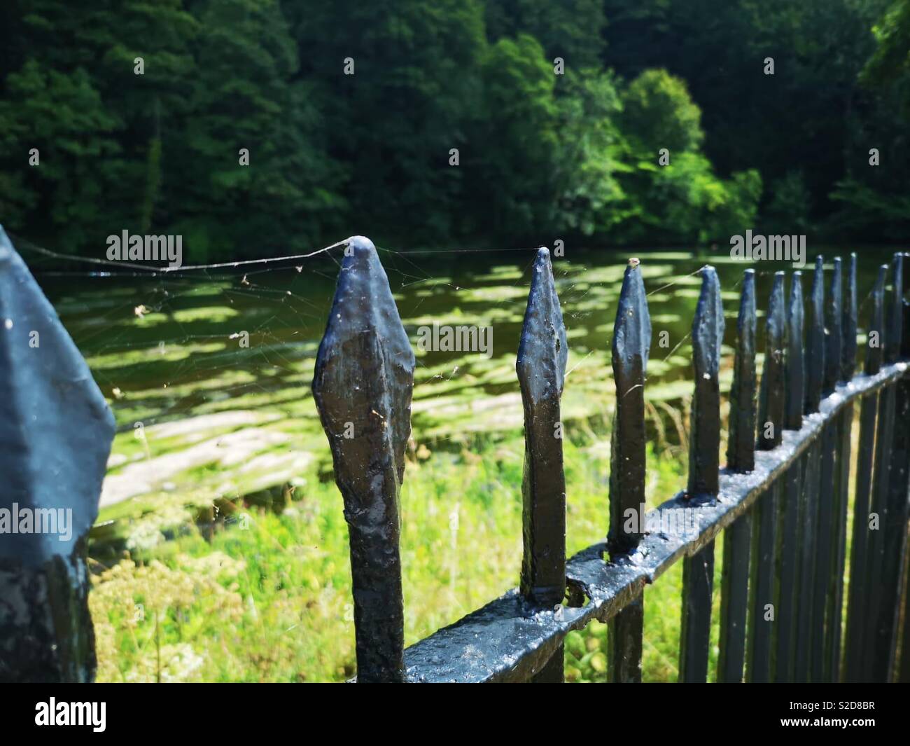 A gate with a river in the background Stock Photo - Alamy