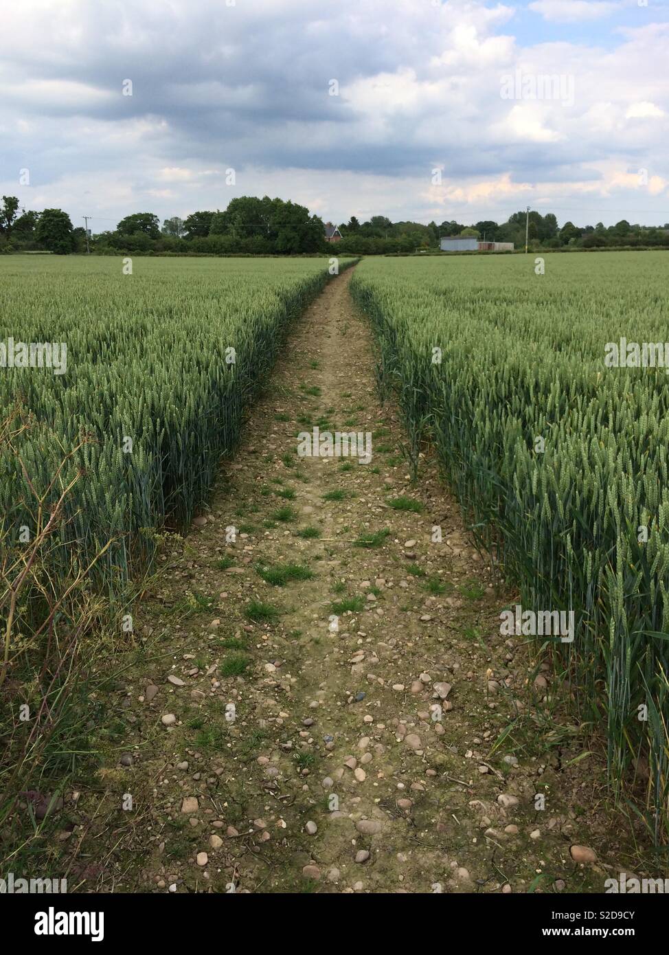 Rural pathway hi-res stock photography and images - Alamy