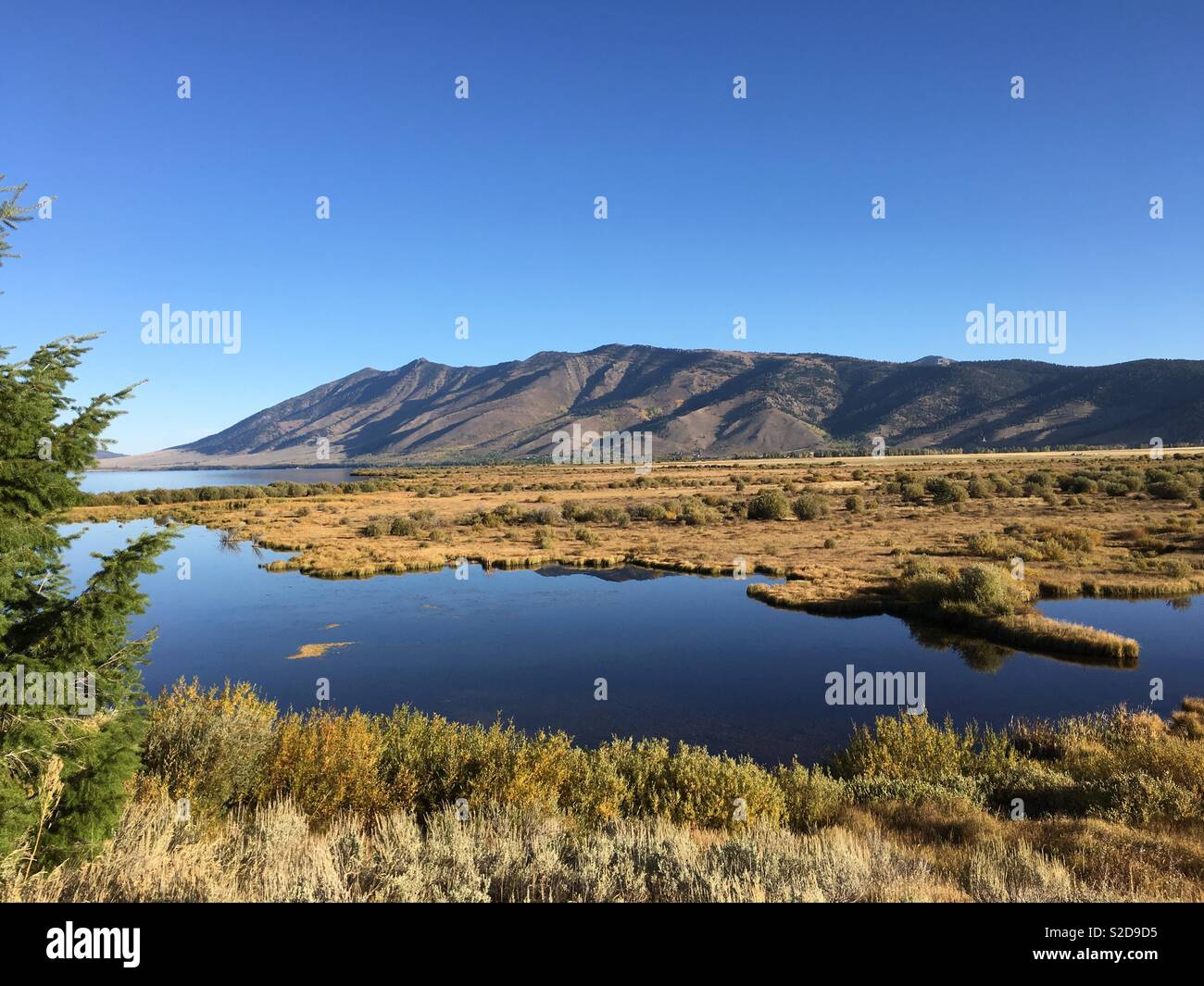 Henrys lake campsite hi-res stock photography and images - Alamy
