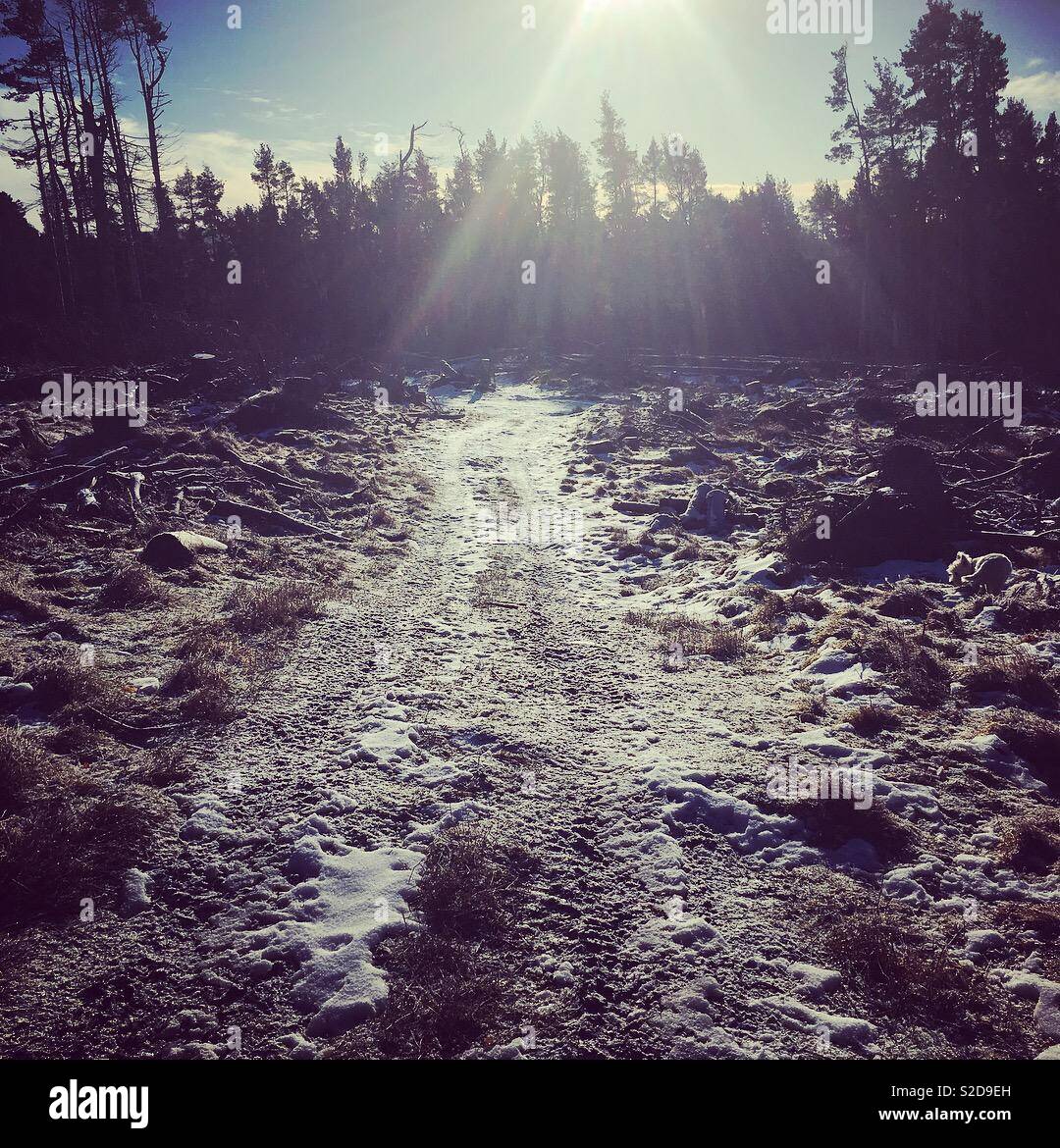 Sunny walks hi-res stock photography and images - Alamy
