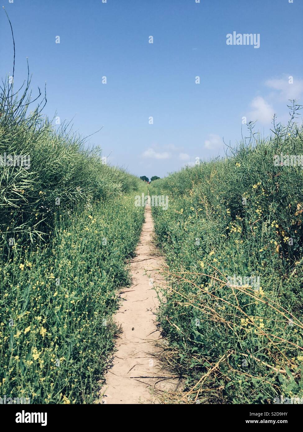 Countryside pathway hi-res stock photography and images - Alamy