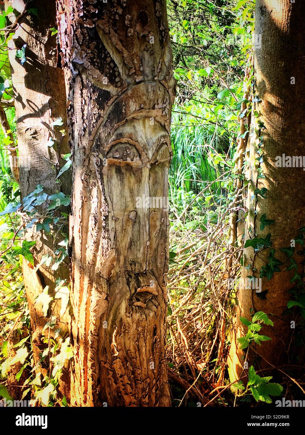 Tree art in Neath, South Wales Stock Photo - Alamy