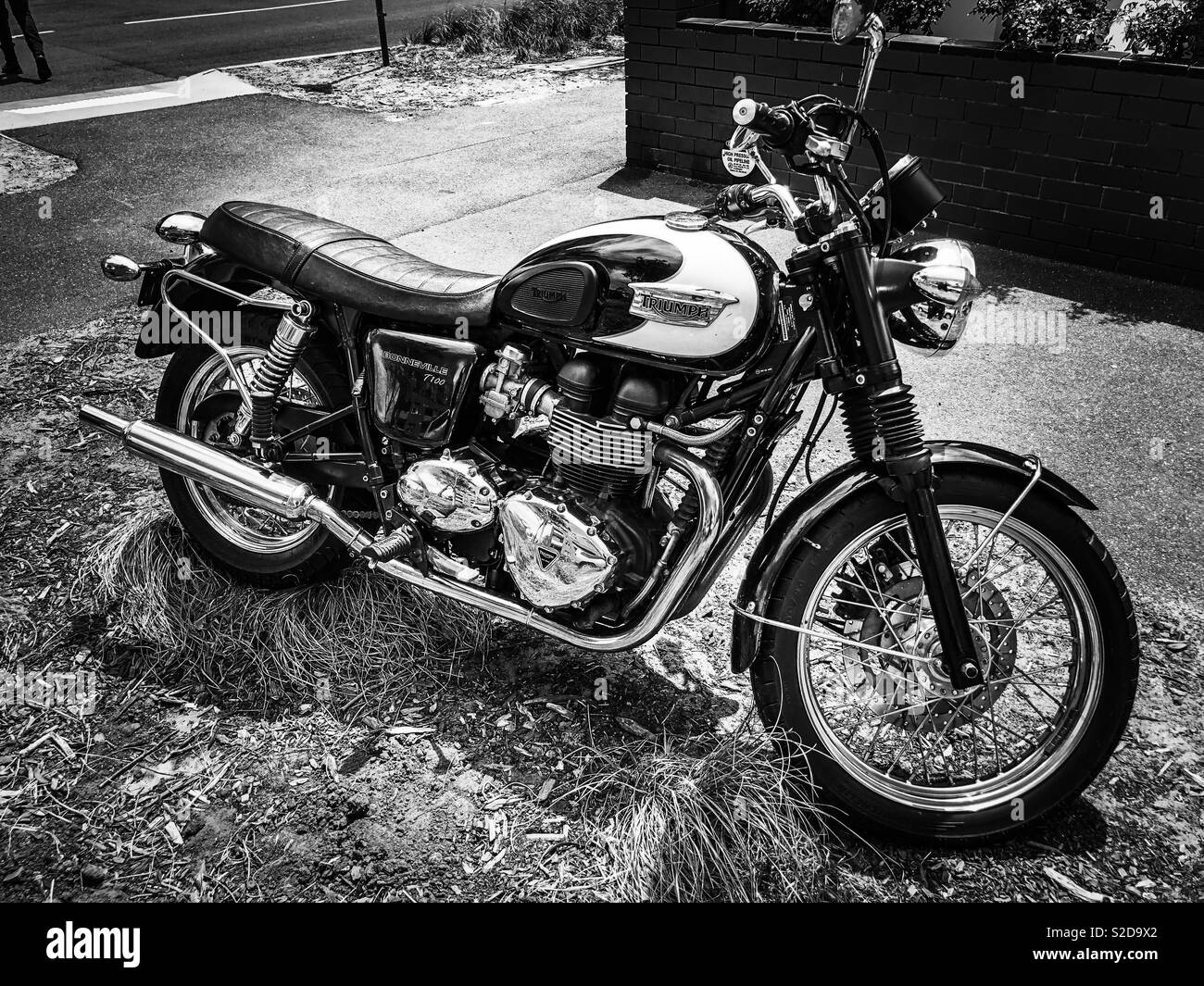 Triumph bonneville TT100. What a majestic beast. This is motorcycle ...