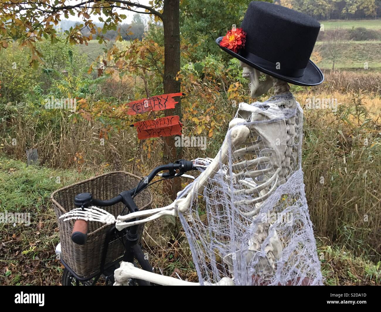 Halloween theme ; skeleton with cylinder riding bicycle Stock Photo - Alamy
