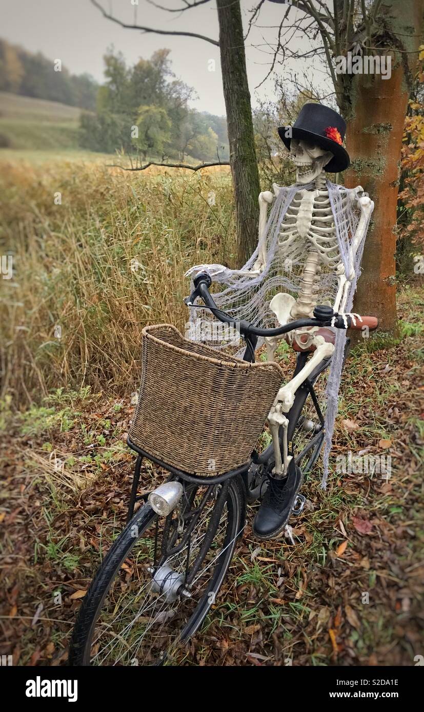 Skeleton riding bicycle hi-res stock photography and images - Alamy
