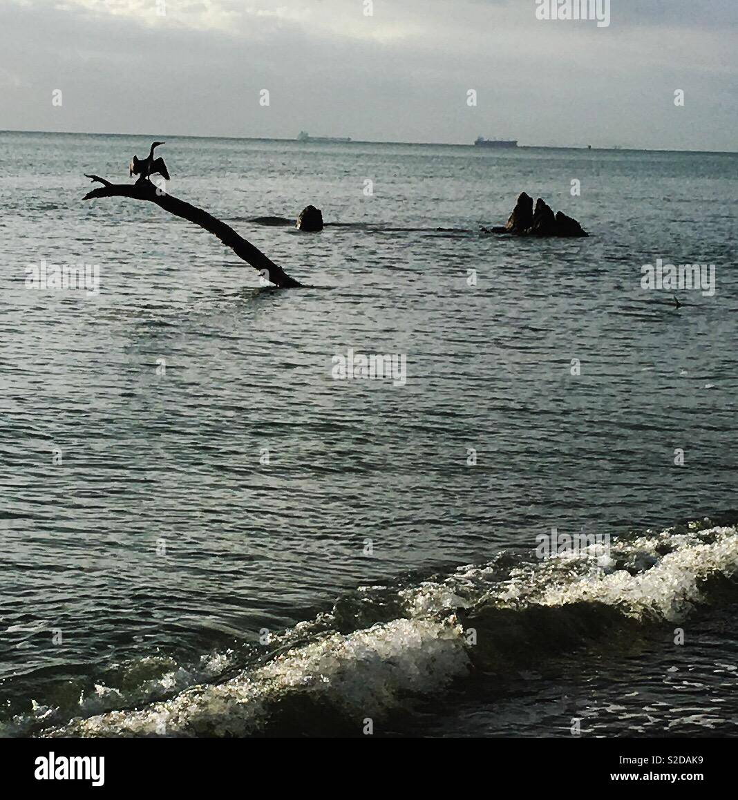 Drying out hi-res stock photography and images - Alamy