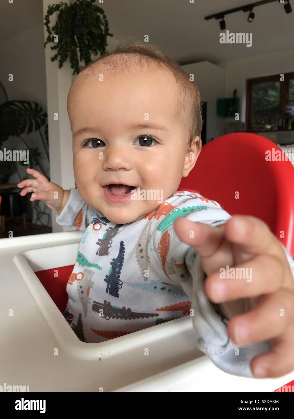 Baby in high chair Stock Photo - Alamy