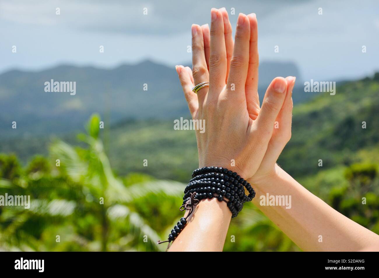Buddha prayer hands hi-res stock photography and images - Alamy