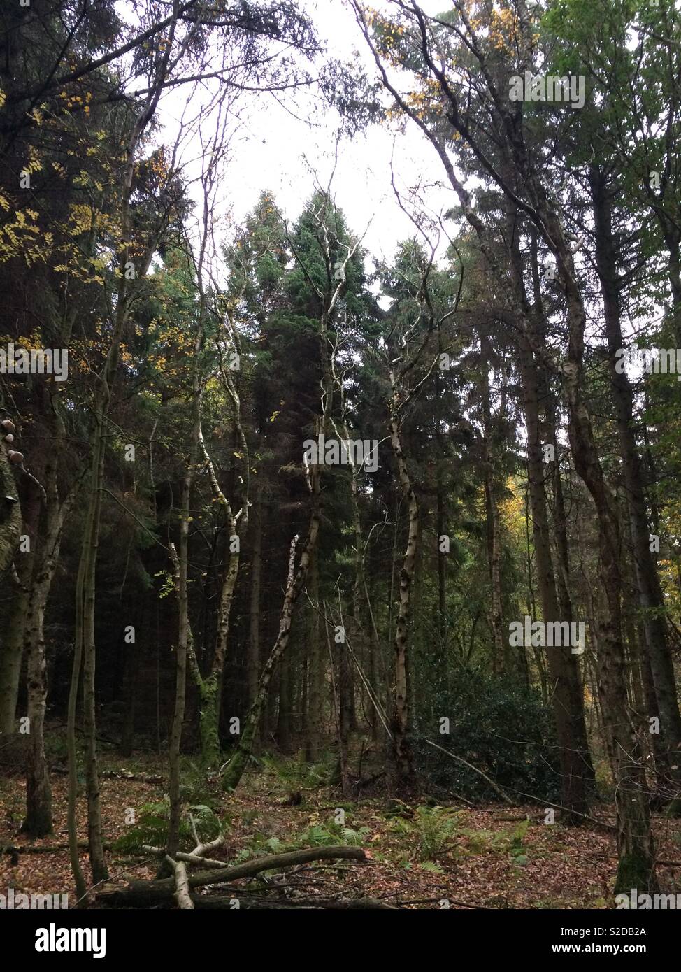 Wonder of nature Stock Photo - Alamy