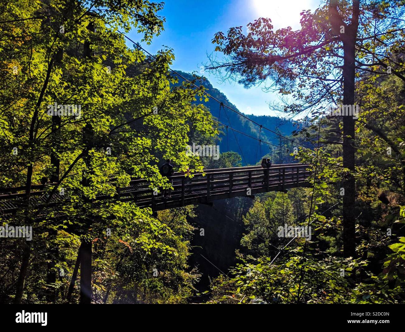 Always bridge hi-res stock photography and images - Alamy