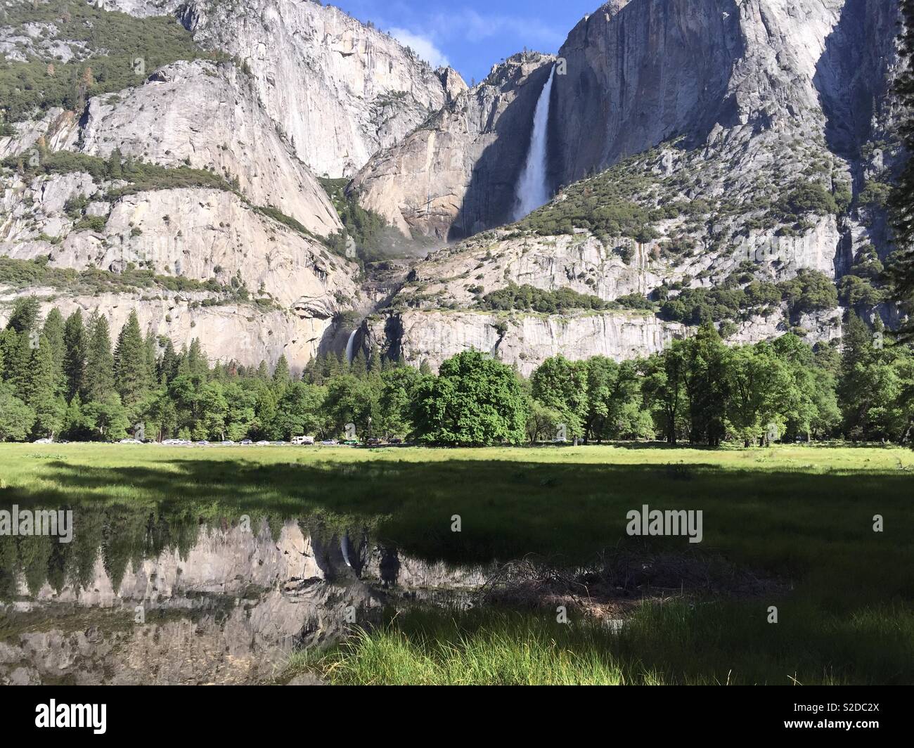 Waterfall and trees hi-res stock photography and images - Alamy